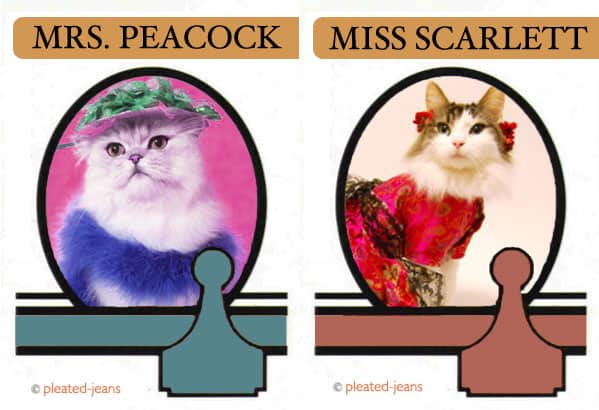 Uncover the Mystery of Your Cat's Needs: Top 10 Clues Cat Products ...