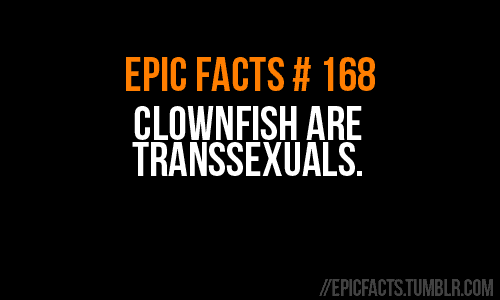 17 Funny And True Facts