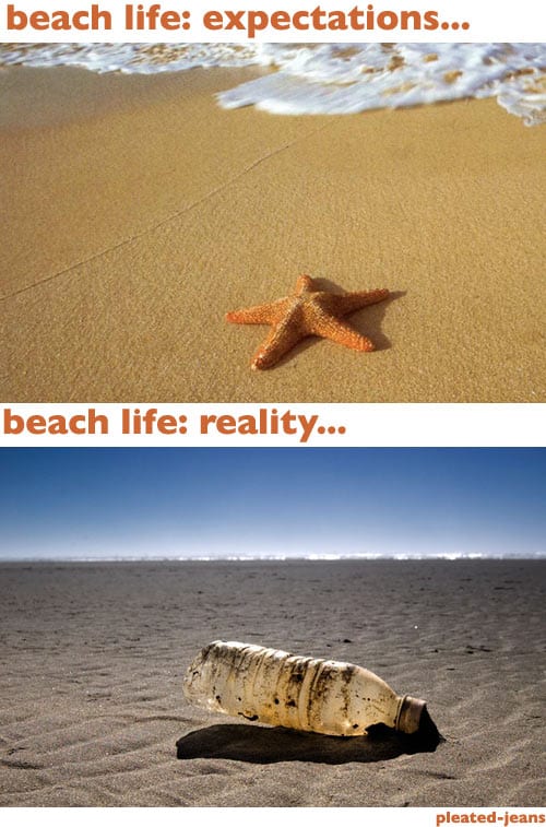 Going to the Beach: Expectations vs. Reality (8 Pics)