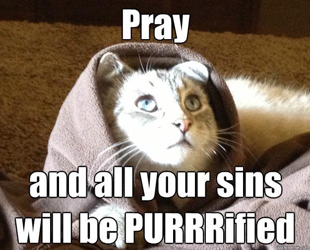 Best of the Kitty Jesus Meme (14 Pics)