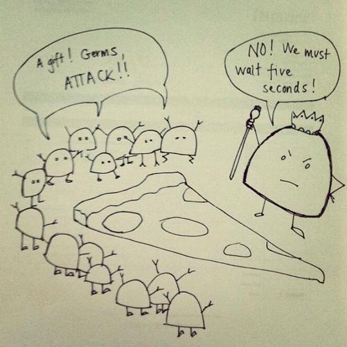 Funnies Pictures, 5Second Rules, Food Safety, Funnies Things, Humor ...