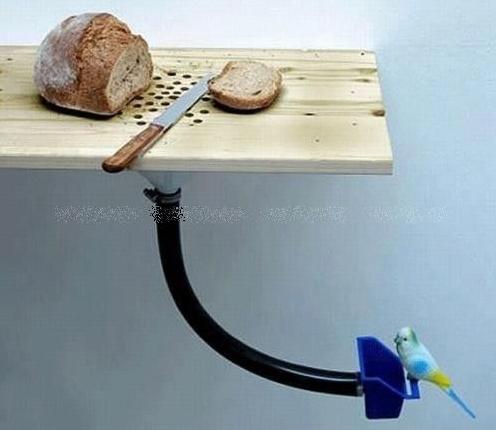 20 Very Important Examples of Human Ingenuity