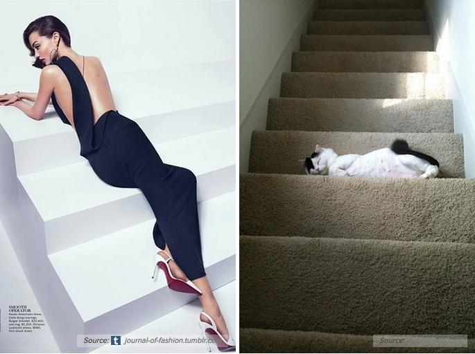 Cats Recreate Awkward Model Poses (12 Pics) | Pleated Jeans