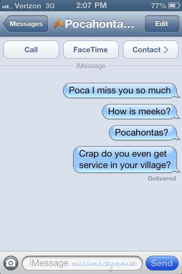 Disney Princesses Text Their Princes (10 Pics)