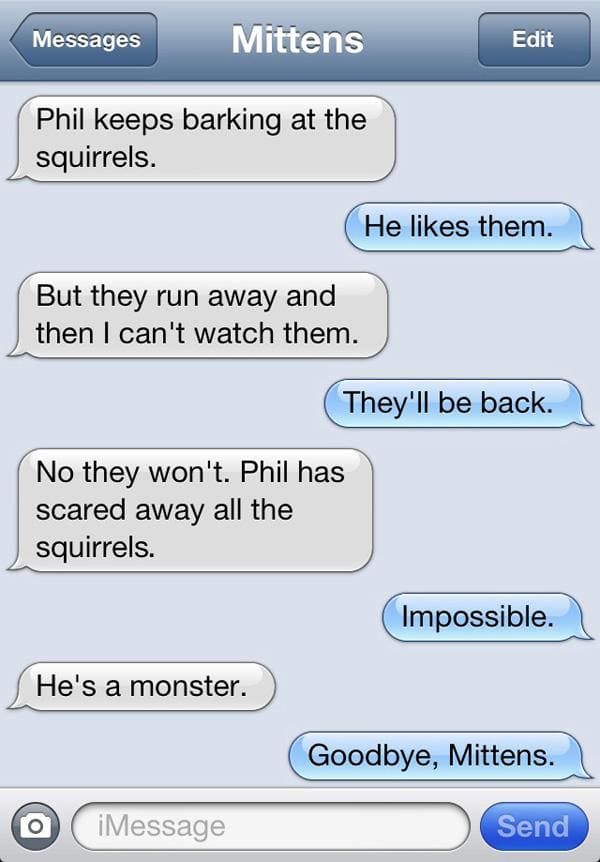 Text Messages From a Cat (8 Pics)