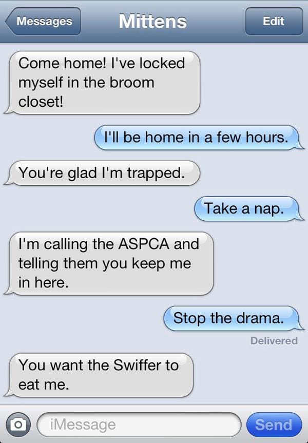 Text Messages From a Cat (8 Pics)