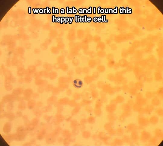 21 Things With Faces