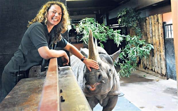20 Reasons Zookeepers Have the Best Job Ever