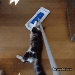 16 Awesome Animated GIFs (4.16.14)