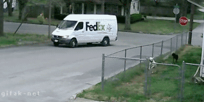 FedEx trucks have deposit slips on them : r/mildlyinteresting
