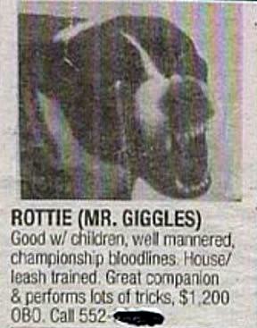 19 Funny Classified Newspaper Ads