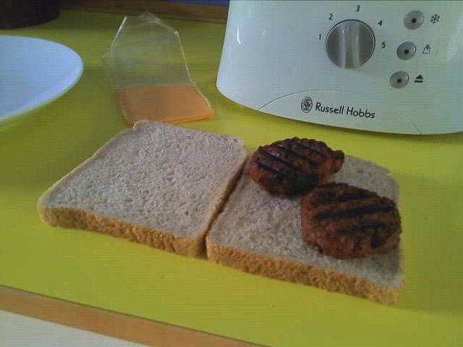 Sad Meals for One (15 Pics)