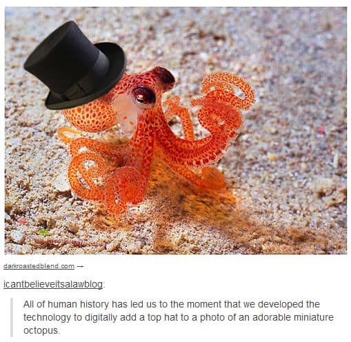 The Science Side of Tumblr (20 Pics)