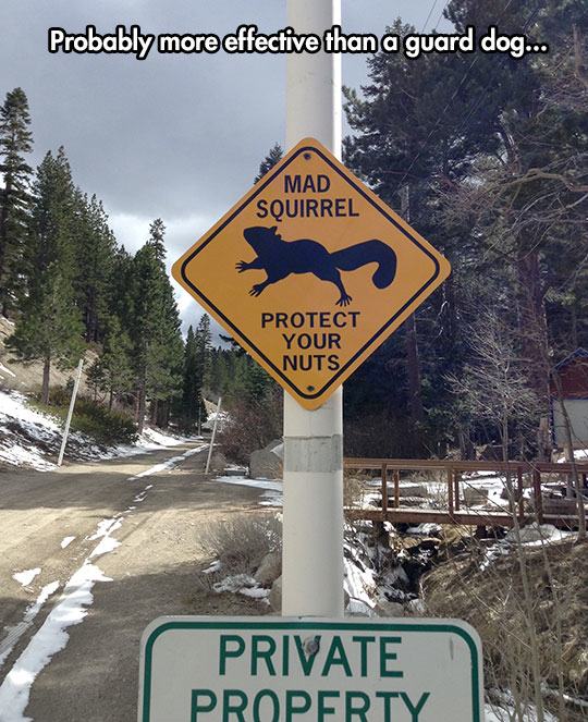 20 Funny Signs Spotted in the Wild