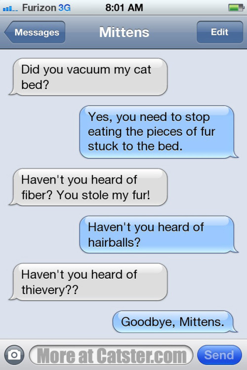 If Cats Could Text (12 Pics)