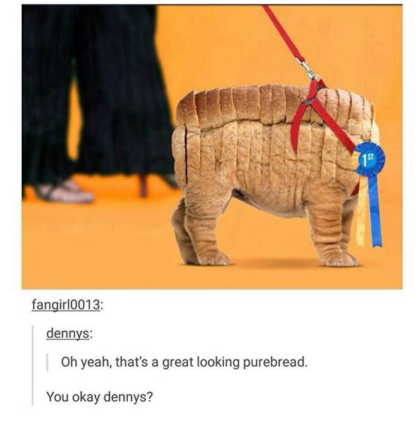 28 Weirdly Wonderful Posts From the Denny's Tumblr Page