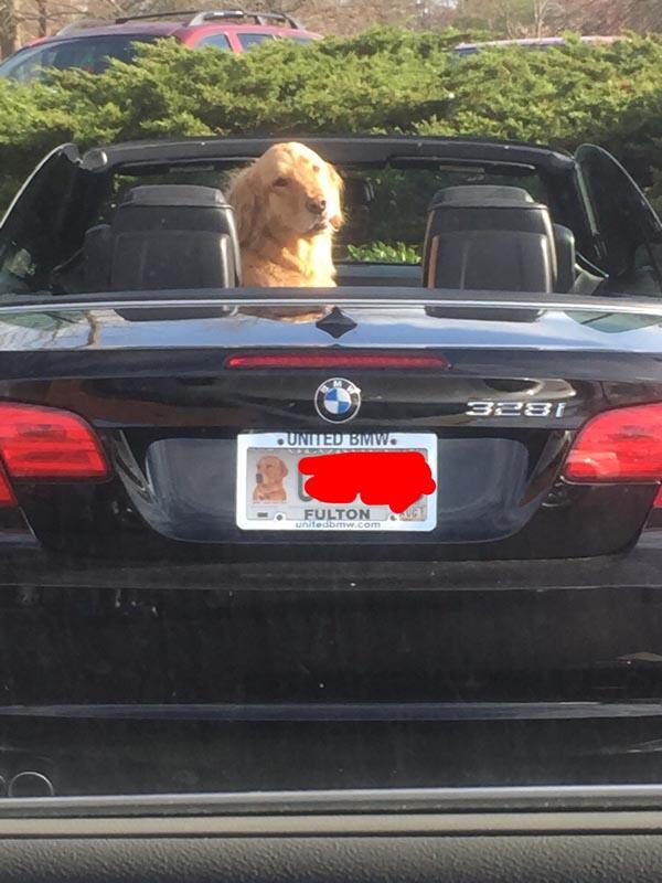 The 30 Funniest License Plates of All Time