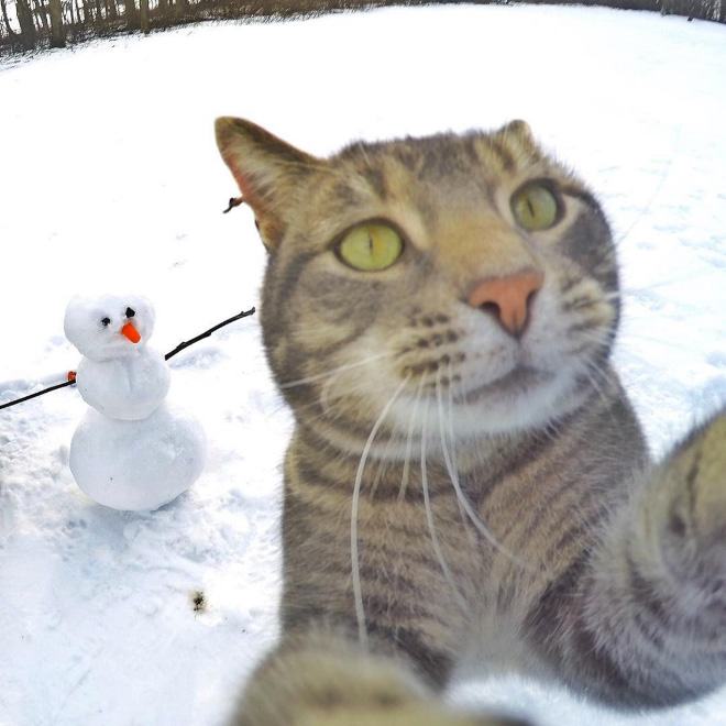 Meet Manny: The Selfie-Taking Cat