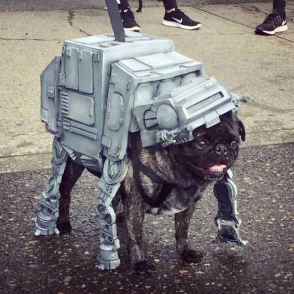 There Was a 'Star Wars' Pug Parade and All the Dogs Dressed Up