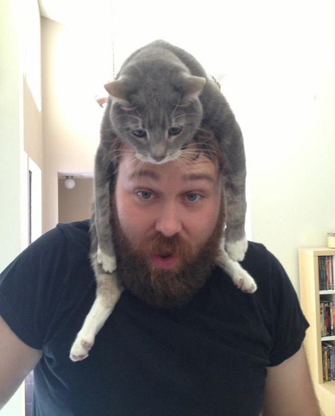 24 Adorable Cats Hats